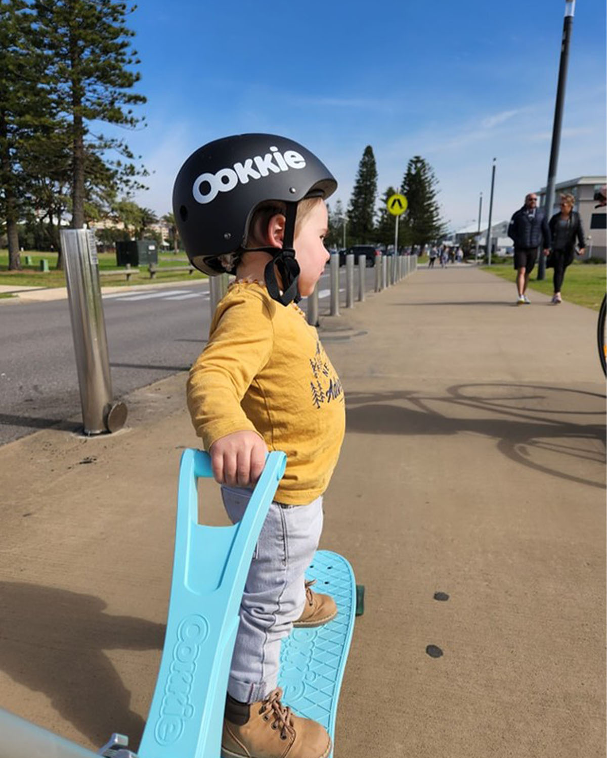 Ookkie Hero - Meet Leonardo – Ookkie Skateboards